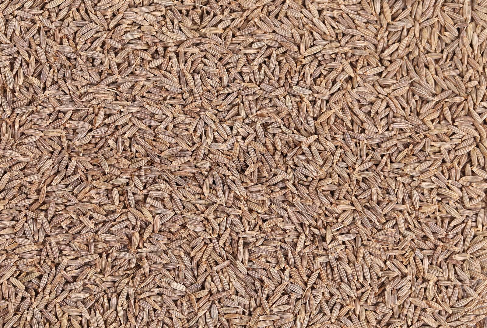 Close up of cumin seeds. Macro. | Stock image | Colourbox