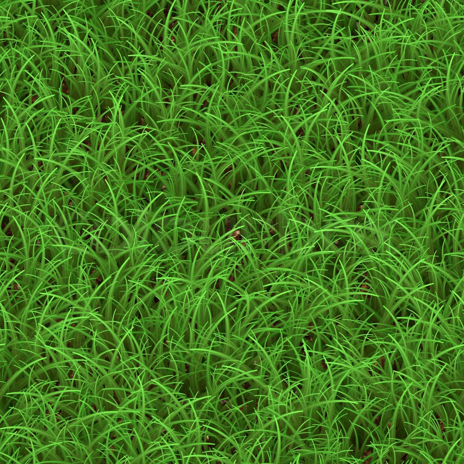 Green Grass Seamless Pattern | Stock image | Colourbox