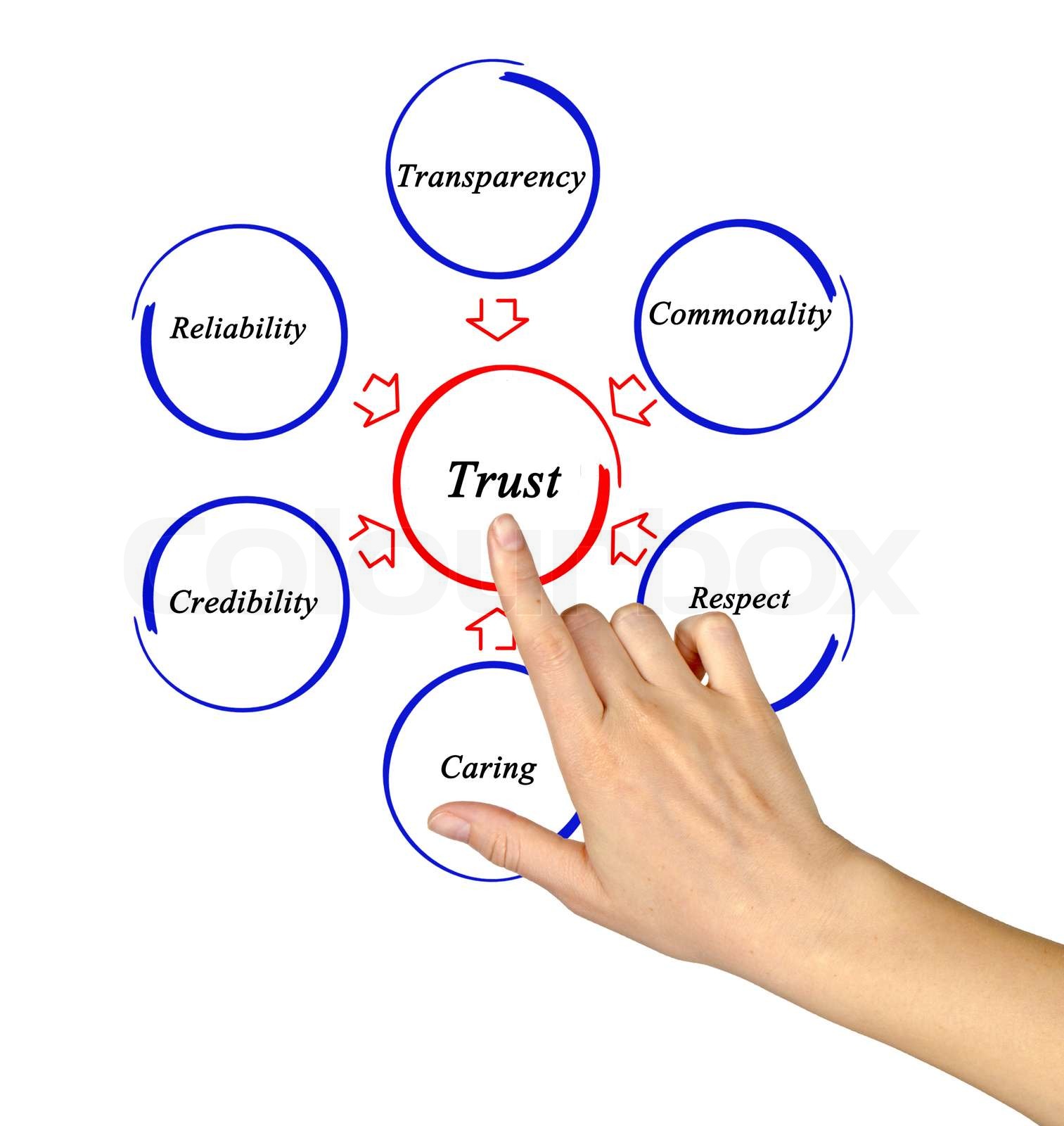 Diagram of trust | Stock image | Colourbox