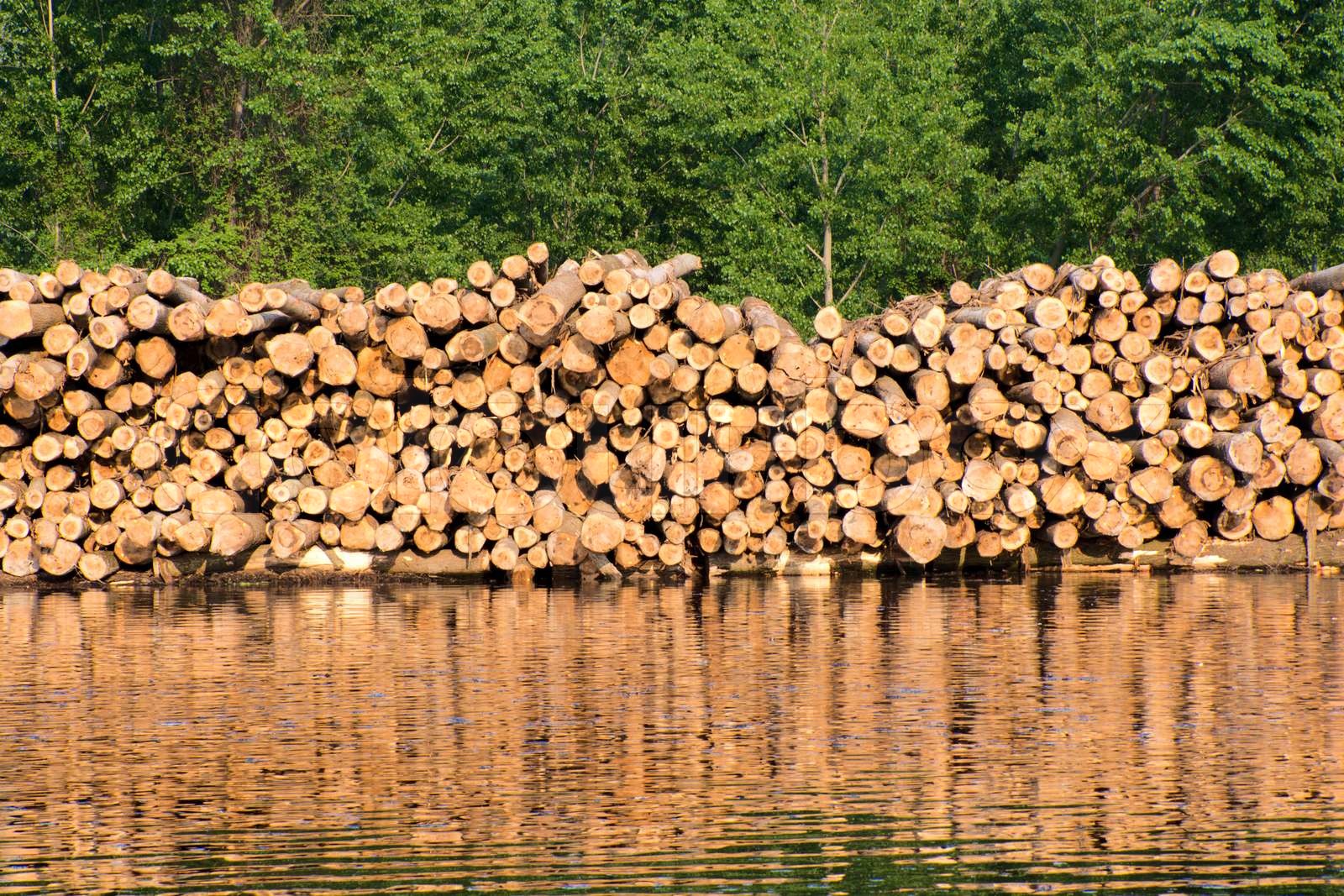 Prepared lumber | Stock image | Colourbox