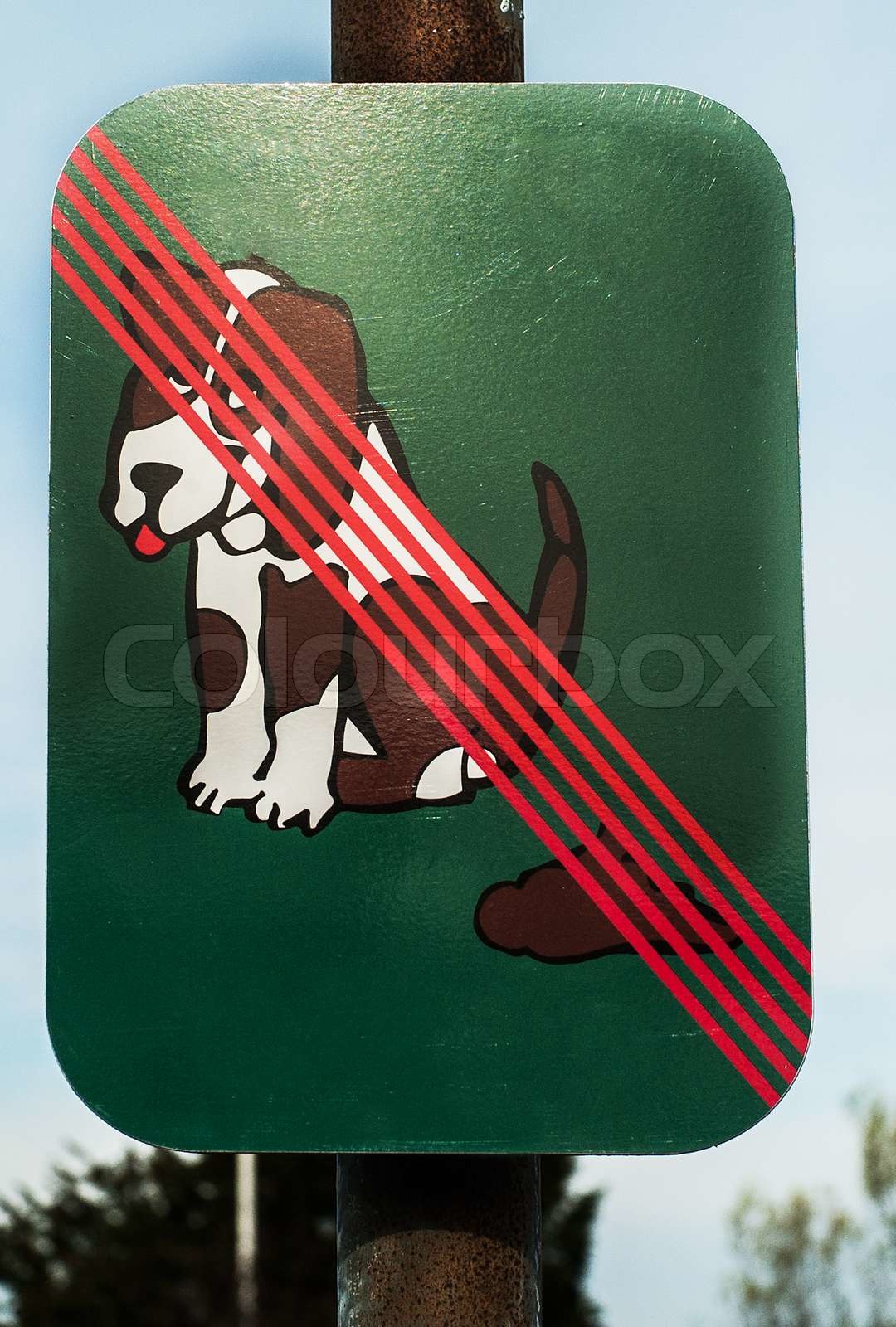 Hundescheiße | Stock Bild | Colourbox