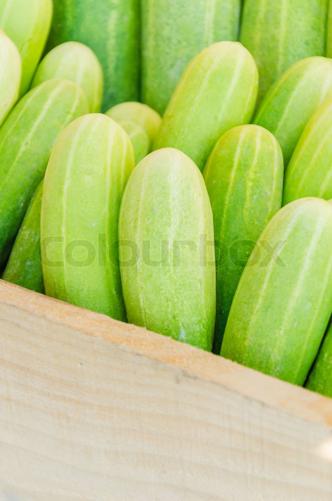 cucumbers | Stock image | Colourbox