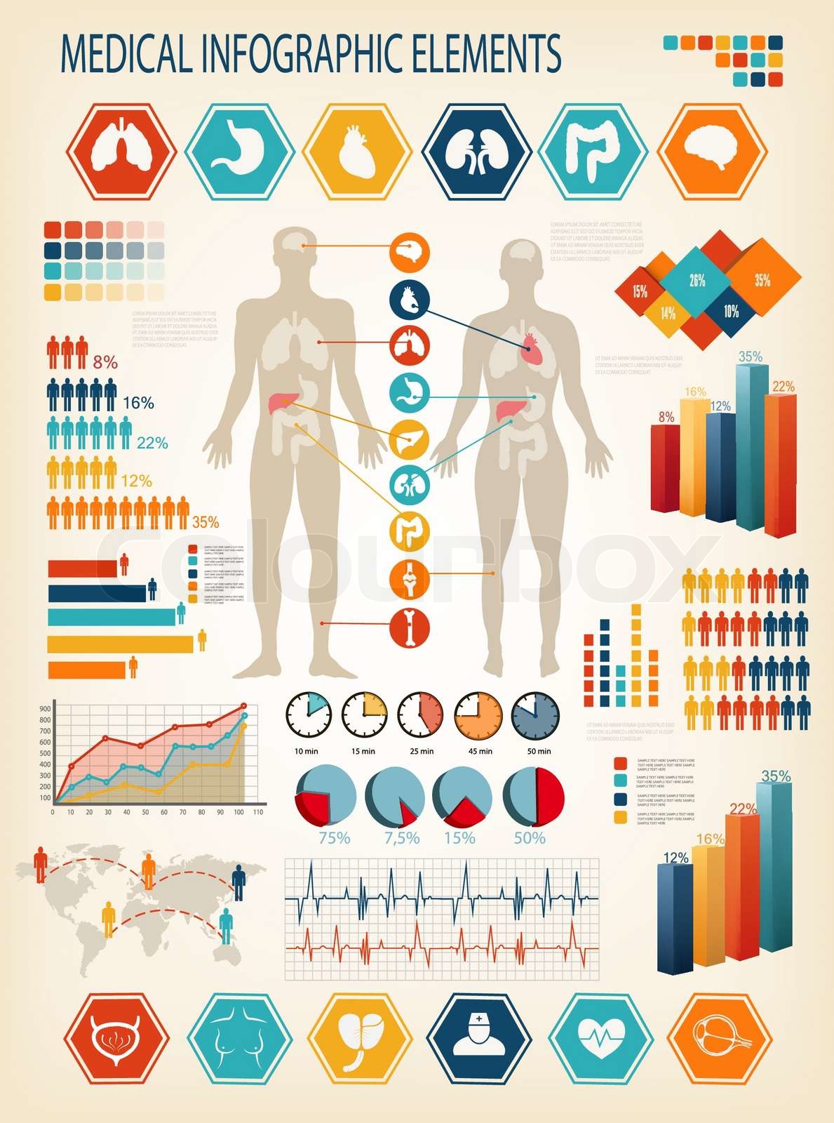 Medical infographics elements. Human body with internal organs. Vector ...
