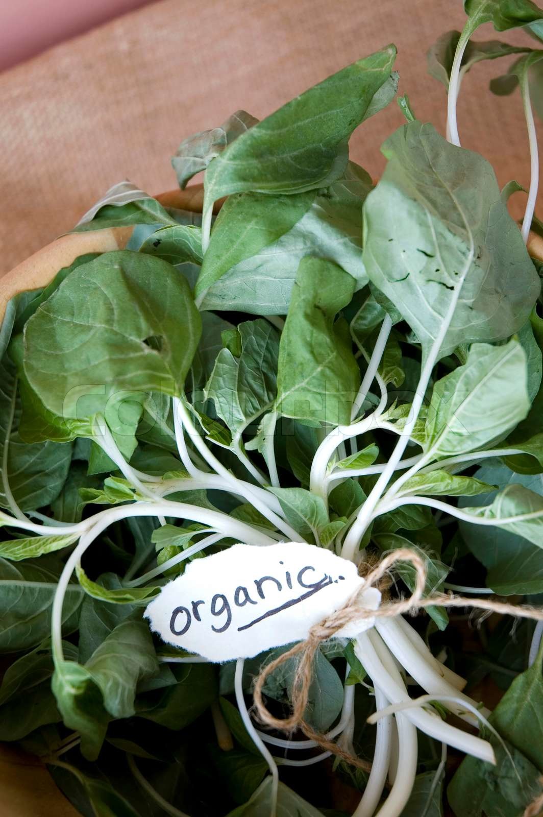 organic green spinach | Stock image | Colourbox