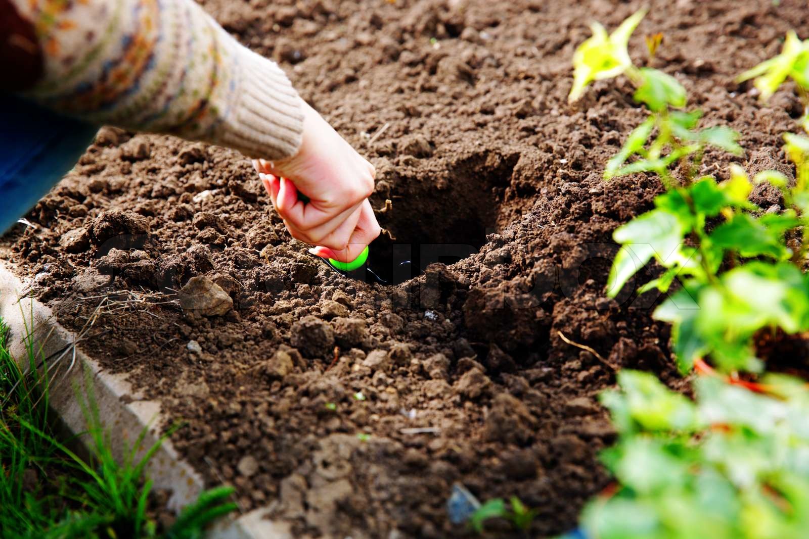 Woman working on ground with tool | Stock image | Colourbox