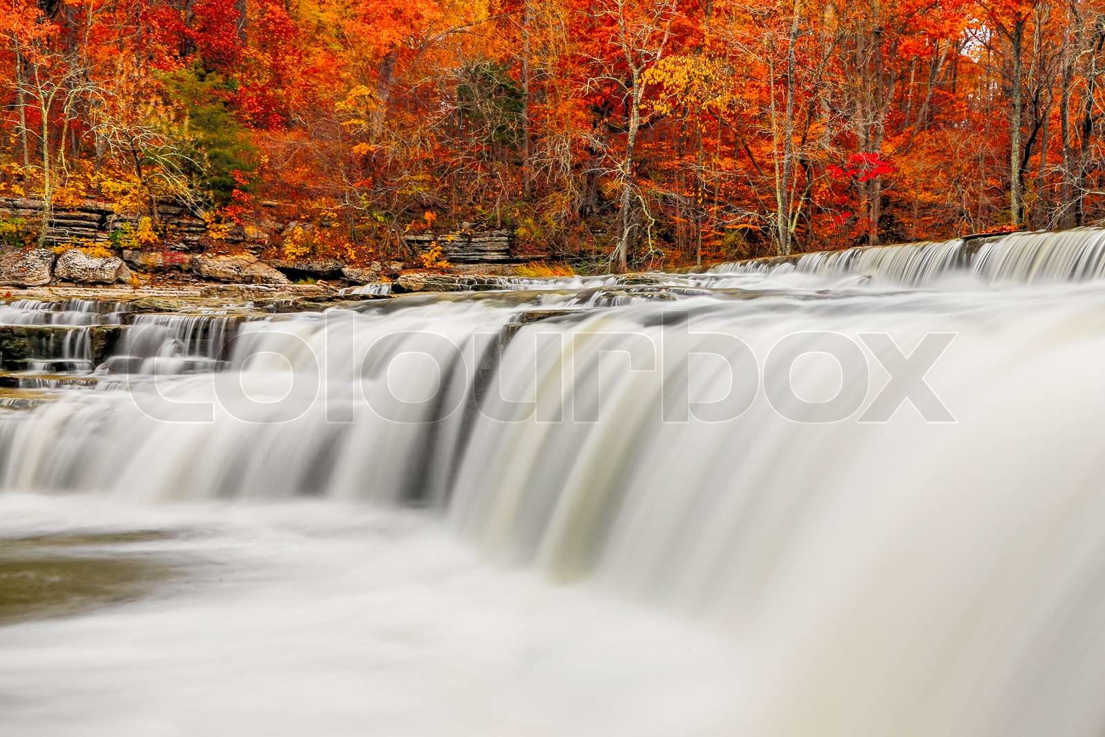 Flowing Water and Fall Leaves | Stock image | Colourbox