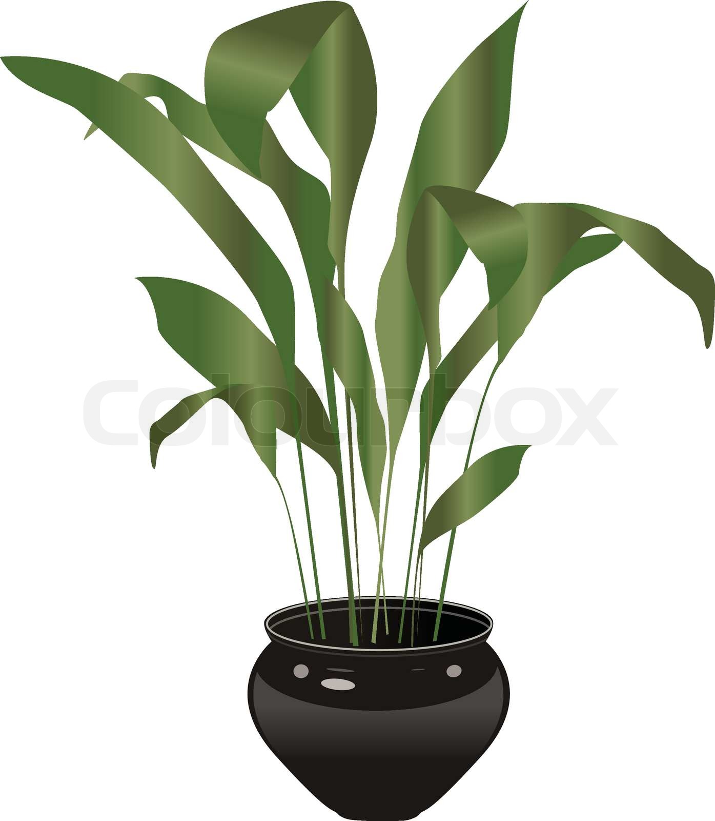 POT PLANT | Stock vector | Colourbox