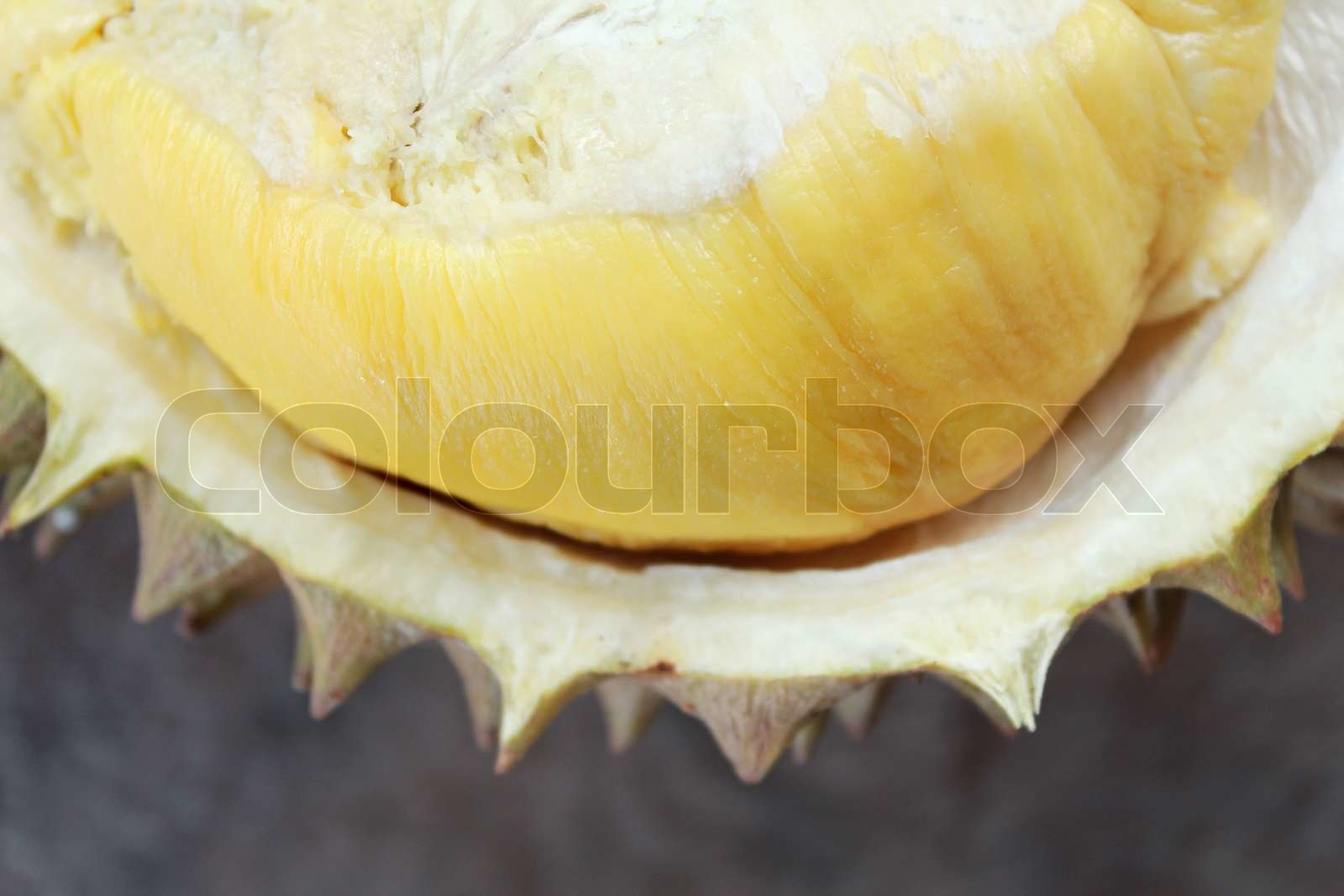 Close up of durian | Stock image | Colourbox