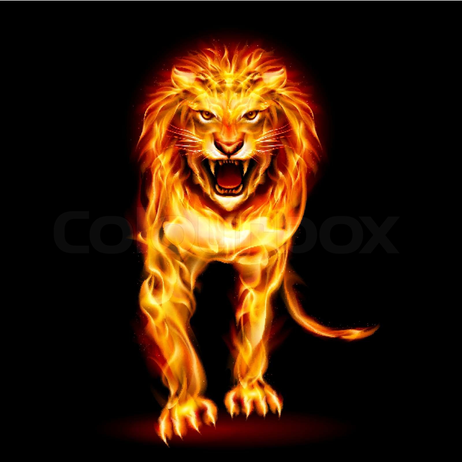 Fire lion | Stock vector | Colourbox