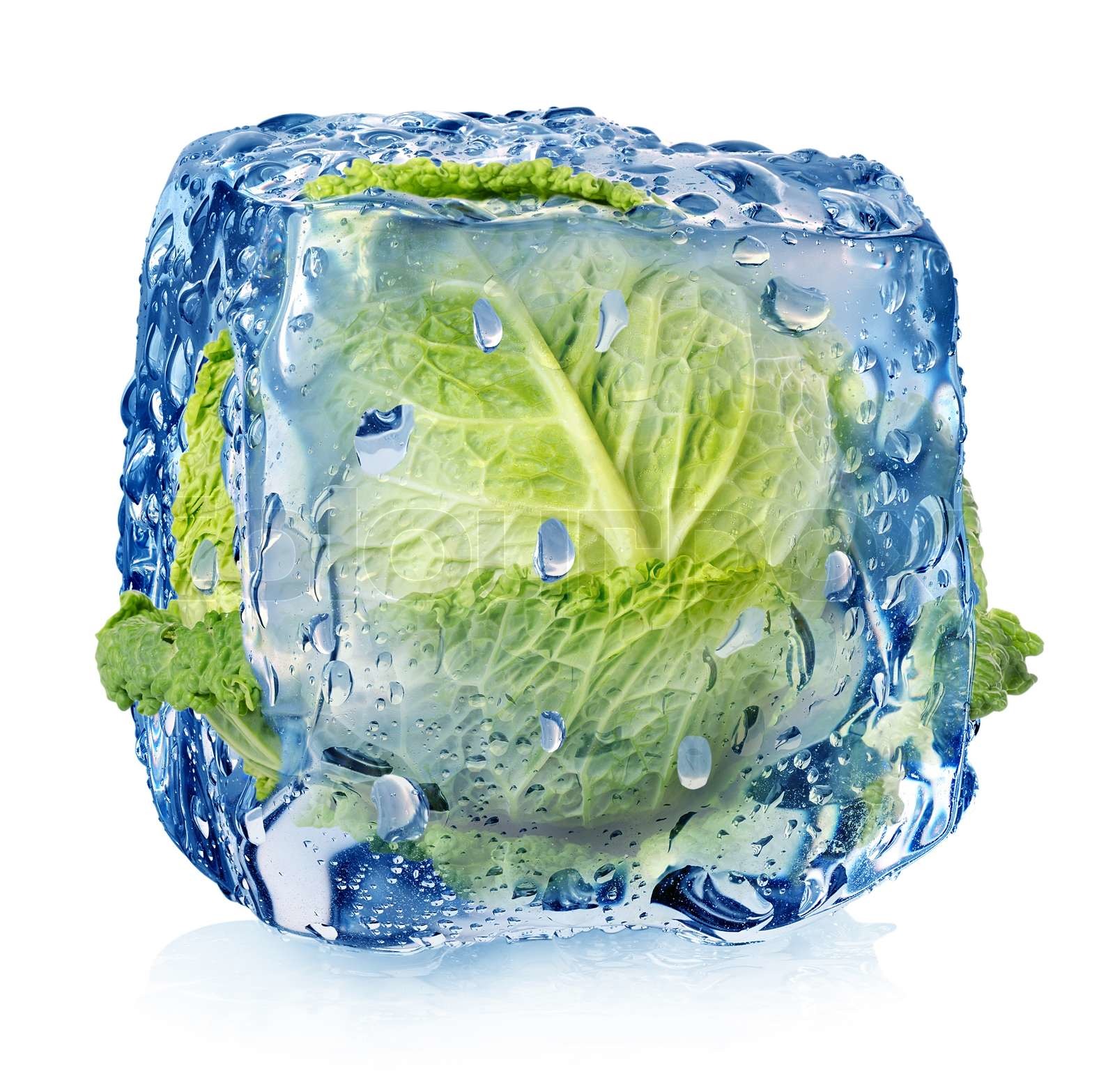 Ice cube with brussel sprouts | Stock image | Colourbox