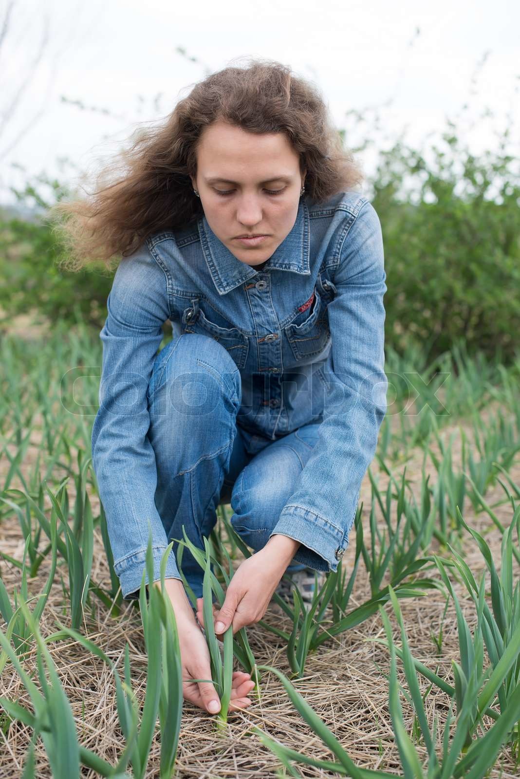 Young woman with hoe working | Stock image | Colourbox