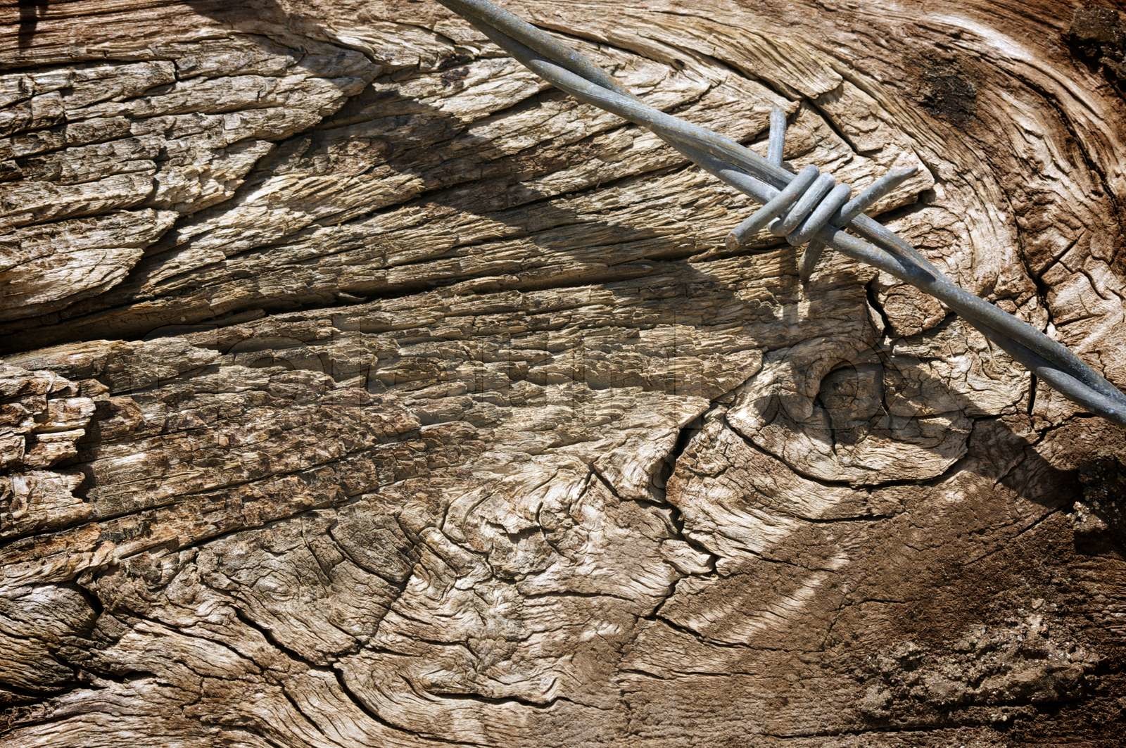 Aged Wood Texture and Barbed Wire | Stock image | Colourbox