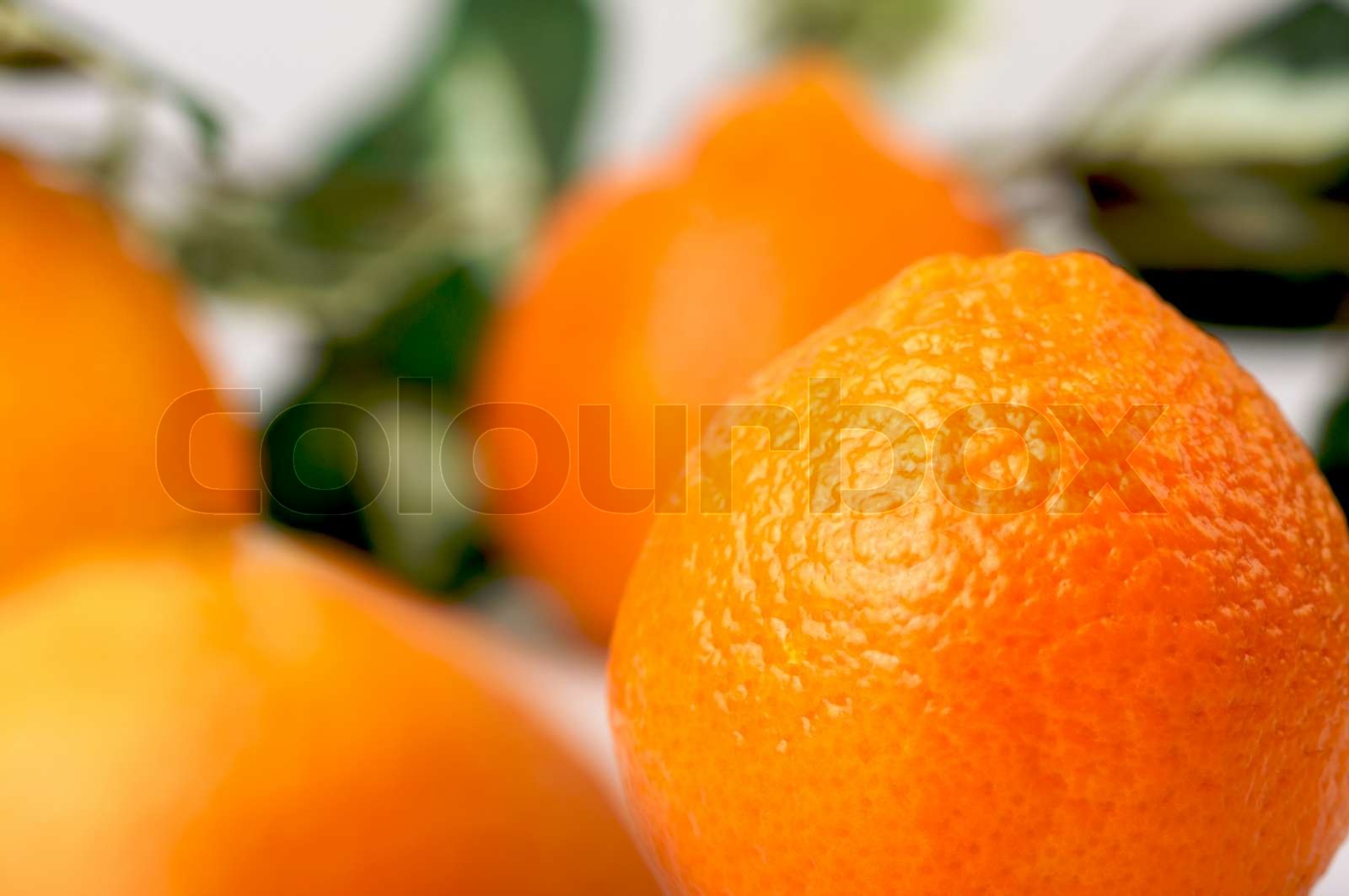 Clementine Oranges | Stock image | Colourbox