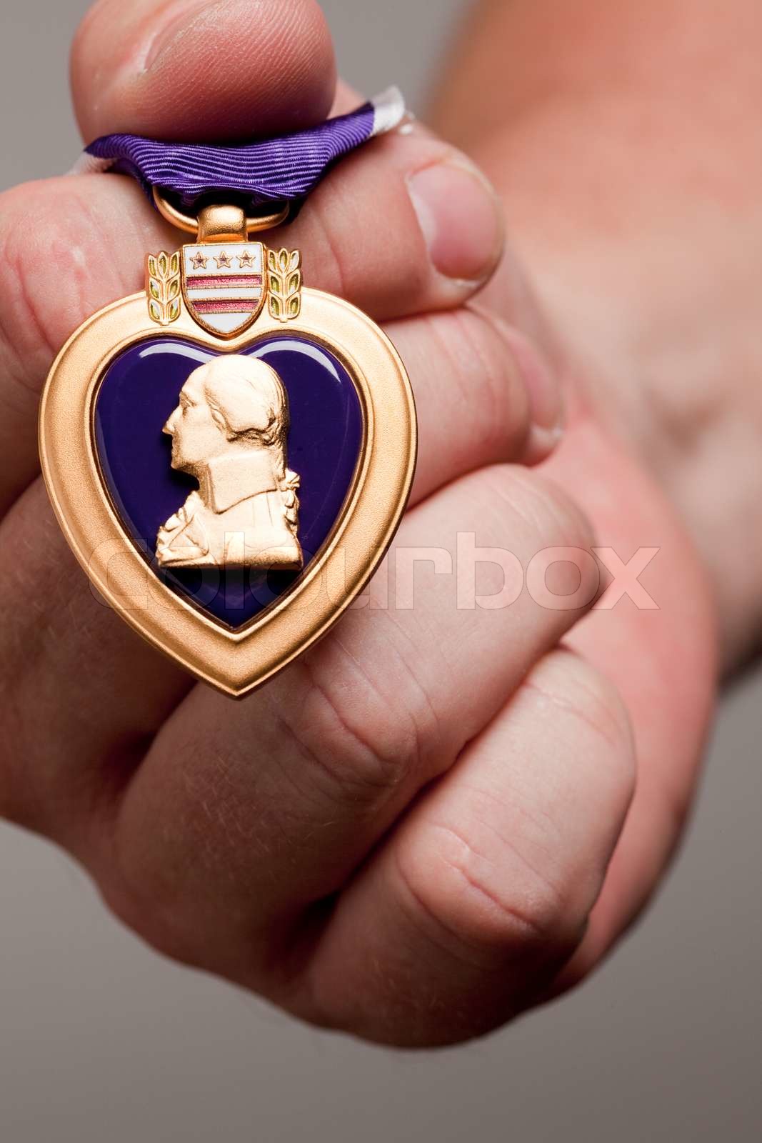 Man Holding Purple Heart War Medal | Stock image | Colourbox