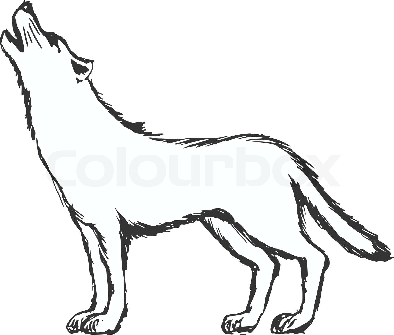 | Stock vektor | Colourbox