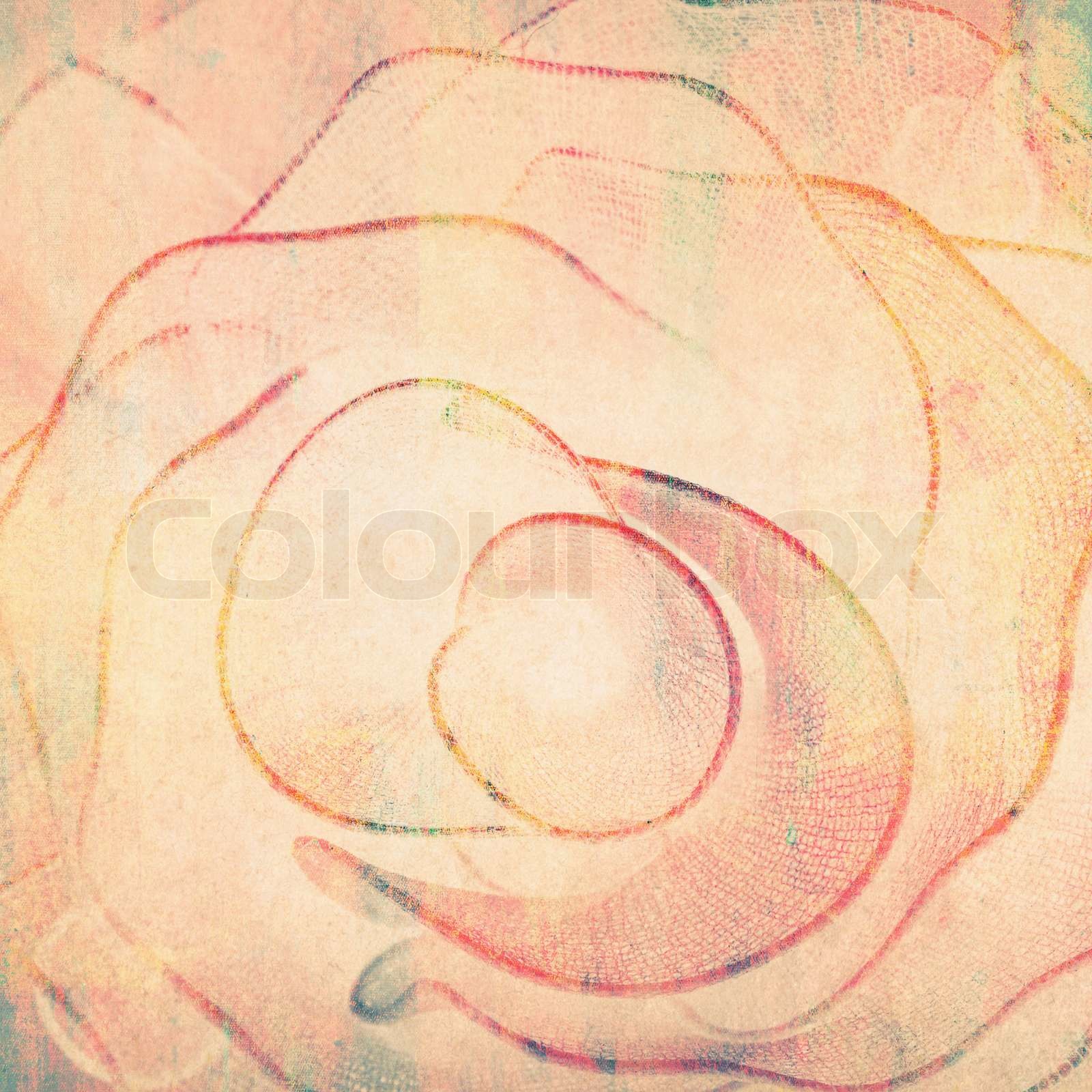 Rose shape | Stock image | Colourbox