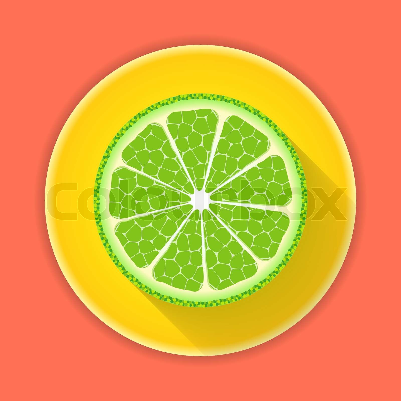 Citrus fruit lime icon | Stock vector | Colourbox
