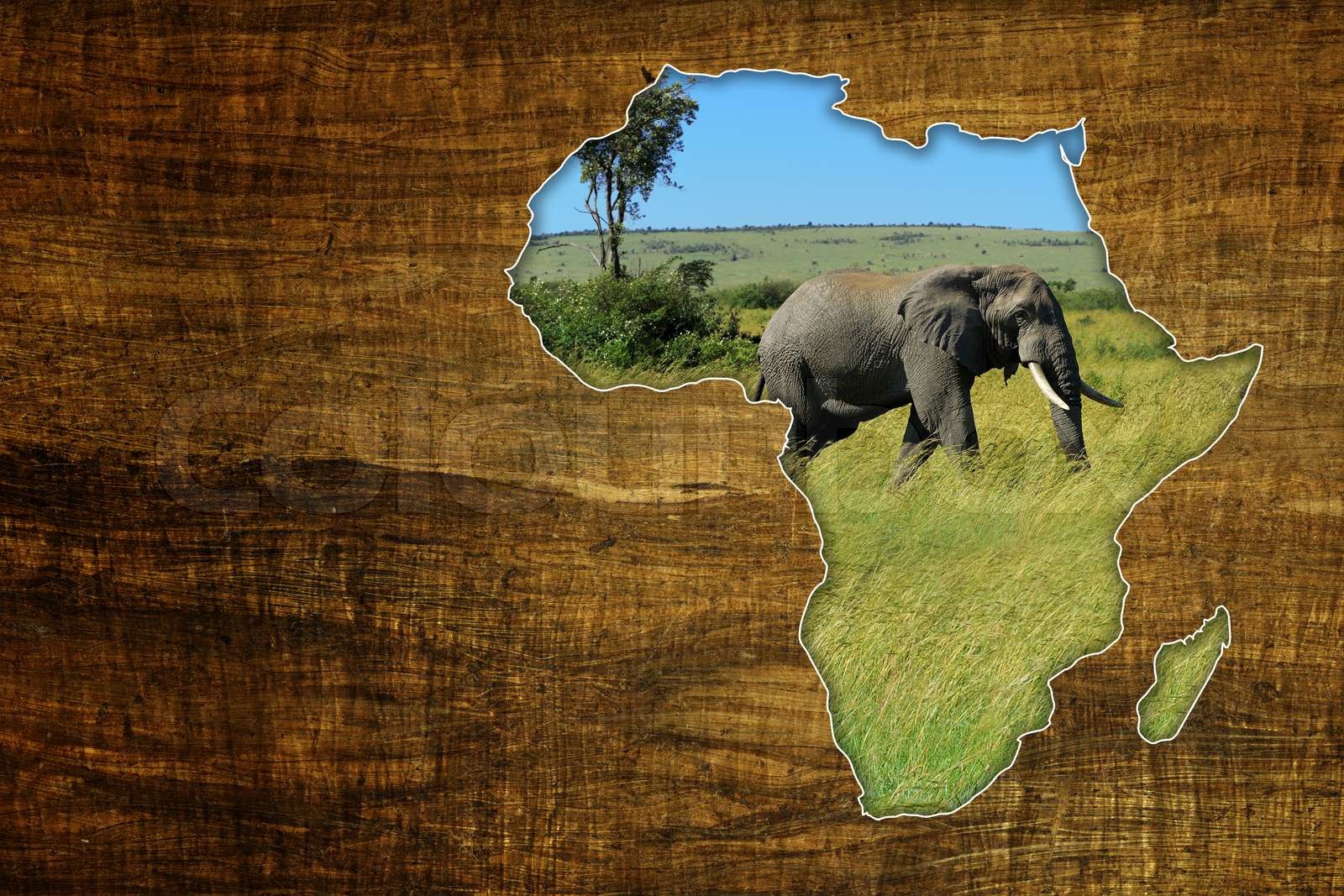 Africa Wildlife Map Design | Stock image | Colourbox