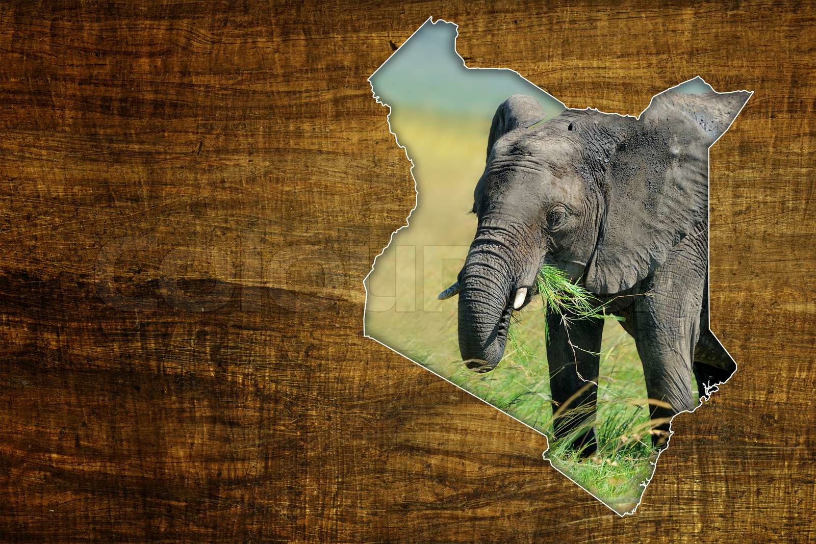 Kenya Wildlife Map Design | Stock image | Colourbox