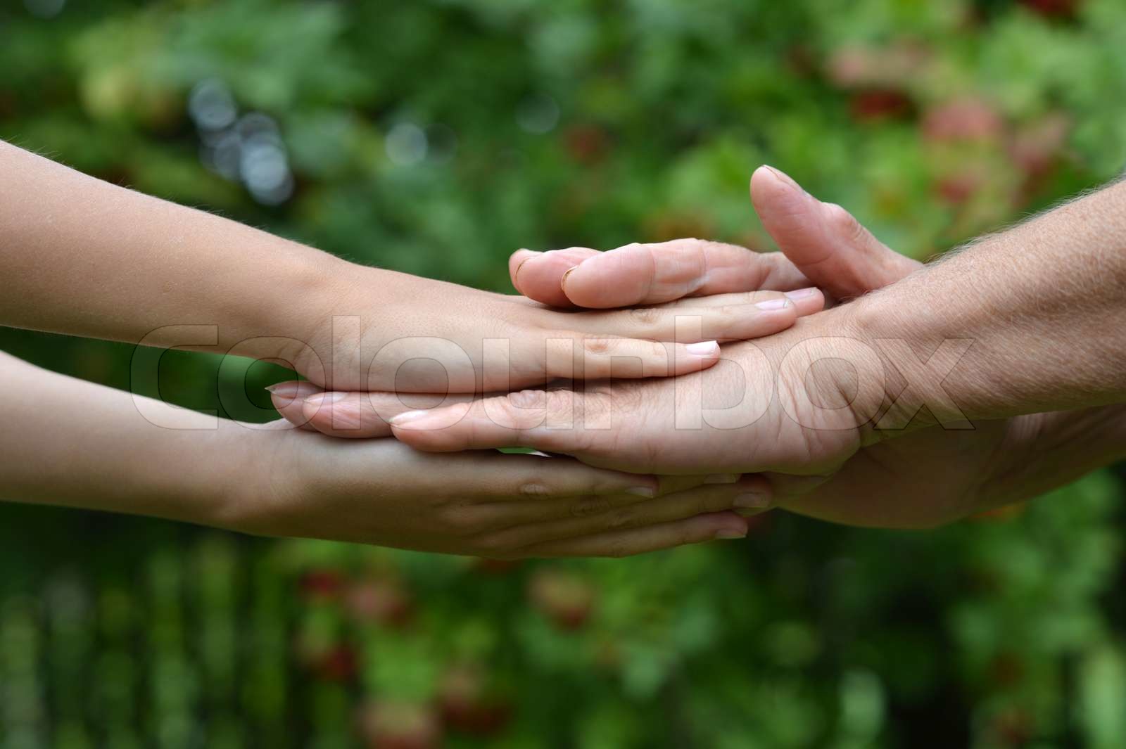 sammen, børn, holde | Stock foto | Colourbox