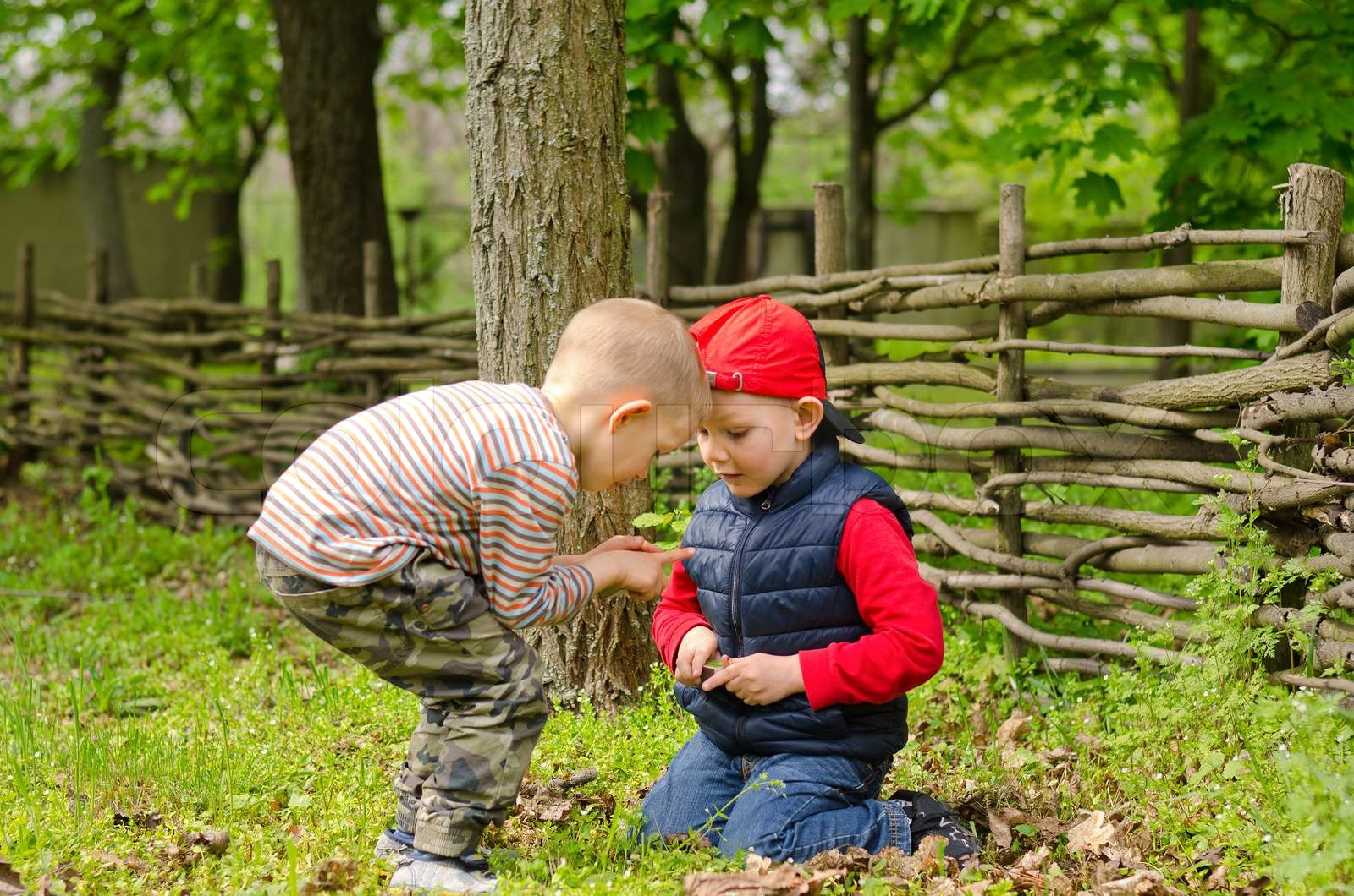 Two young boys playing with matches | Stock image | Colourbox