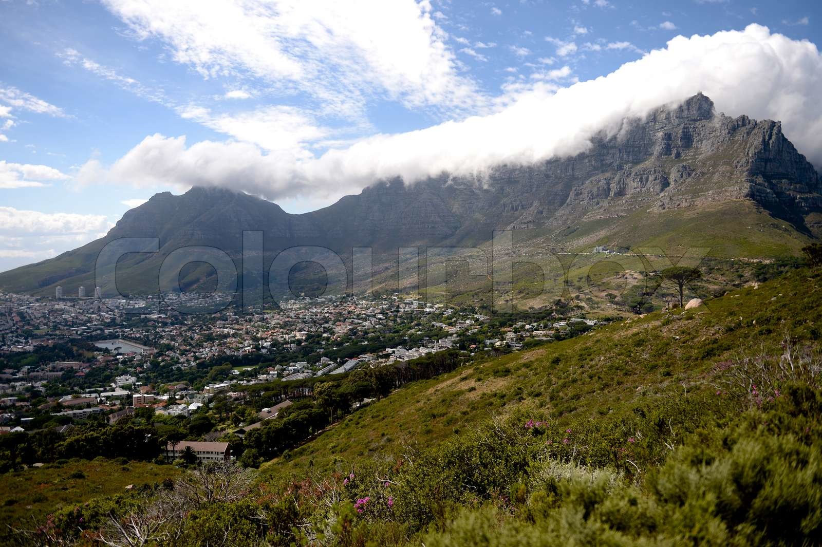 Table Top Mountain | Stock image | Colourbox