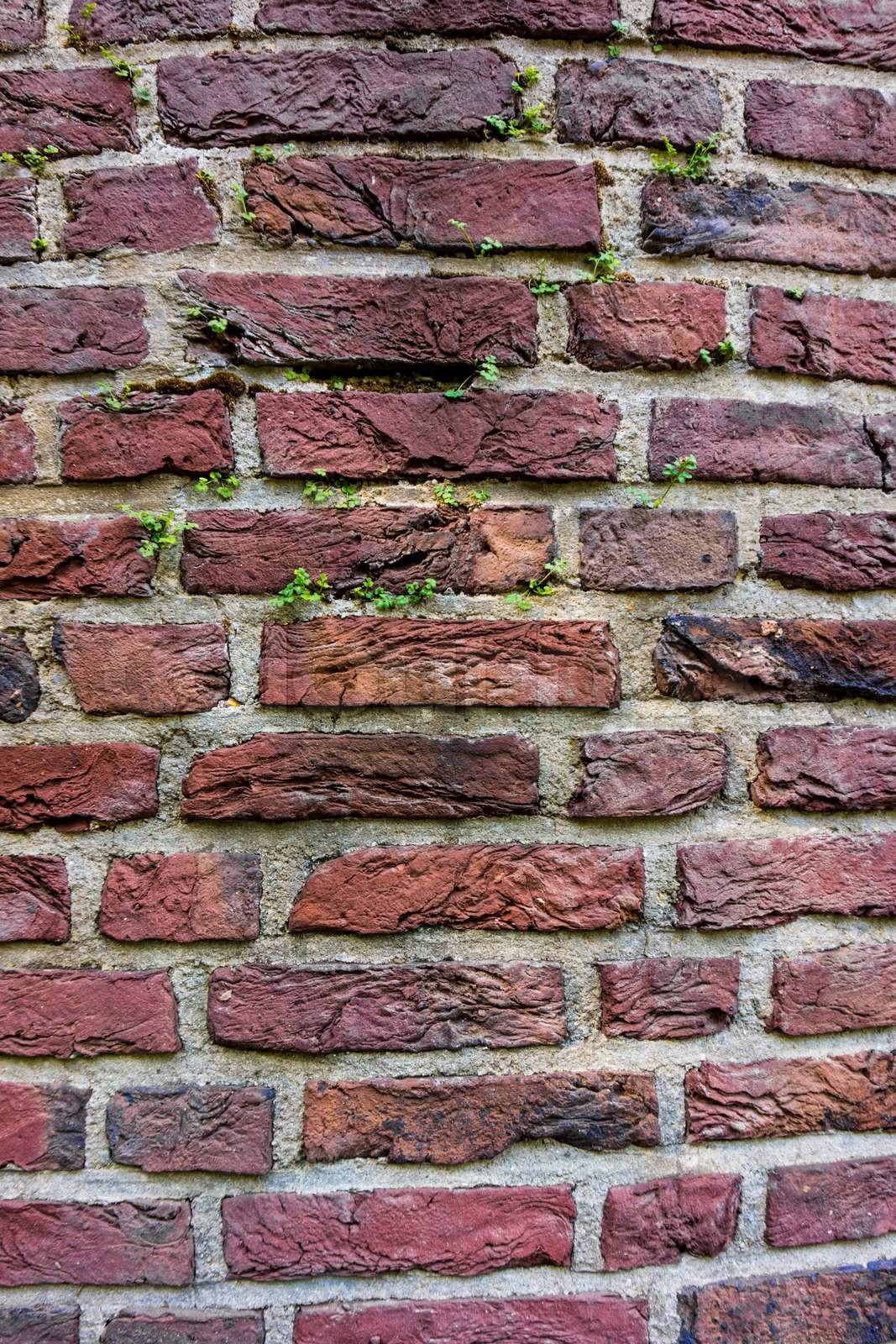 roter Backstein Mauer Textur Hintergrund | Stock Bild | Colourbox