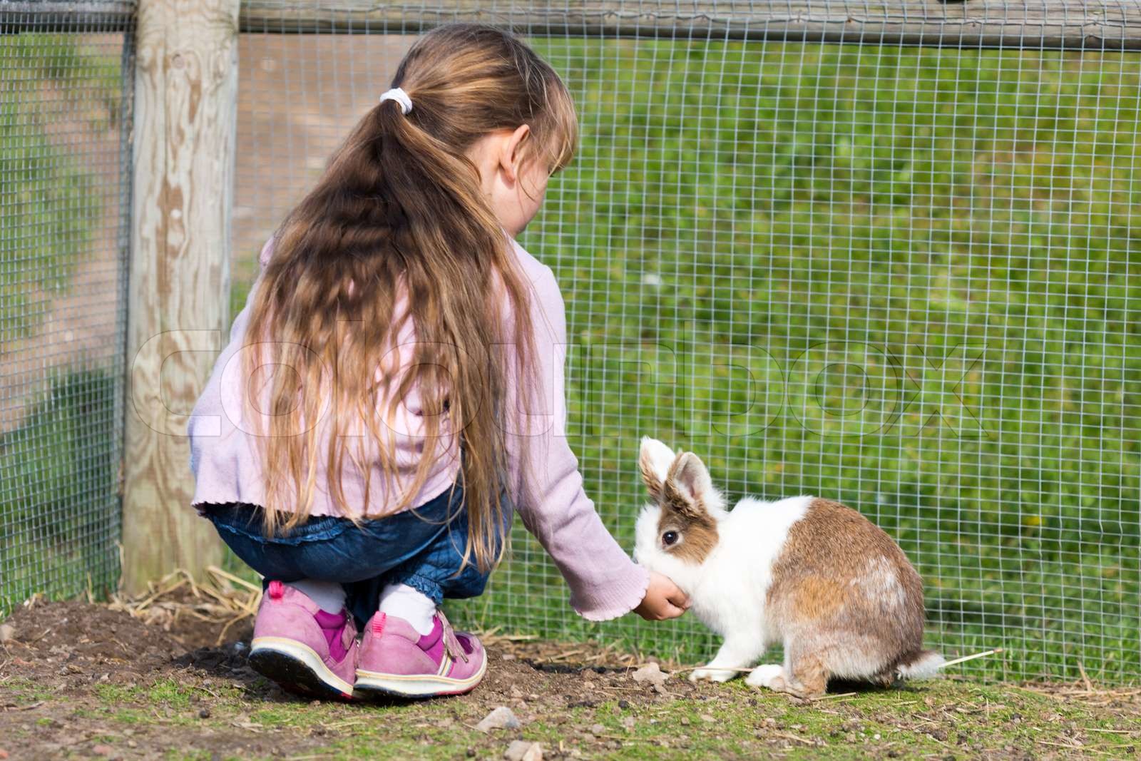 Girl feeding rabbit | Stock image | Colourbox