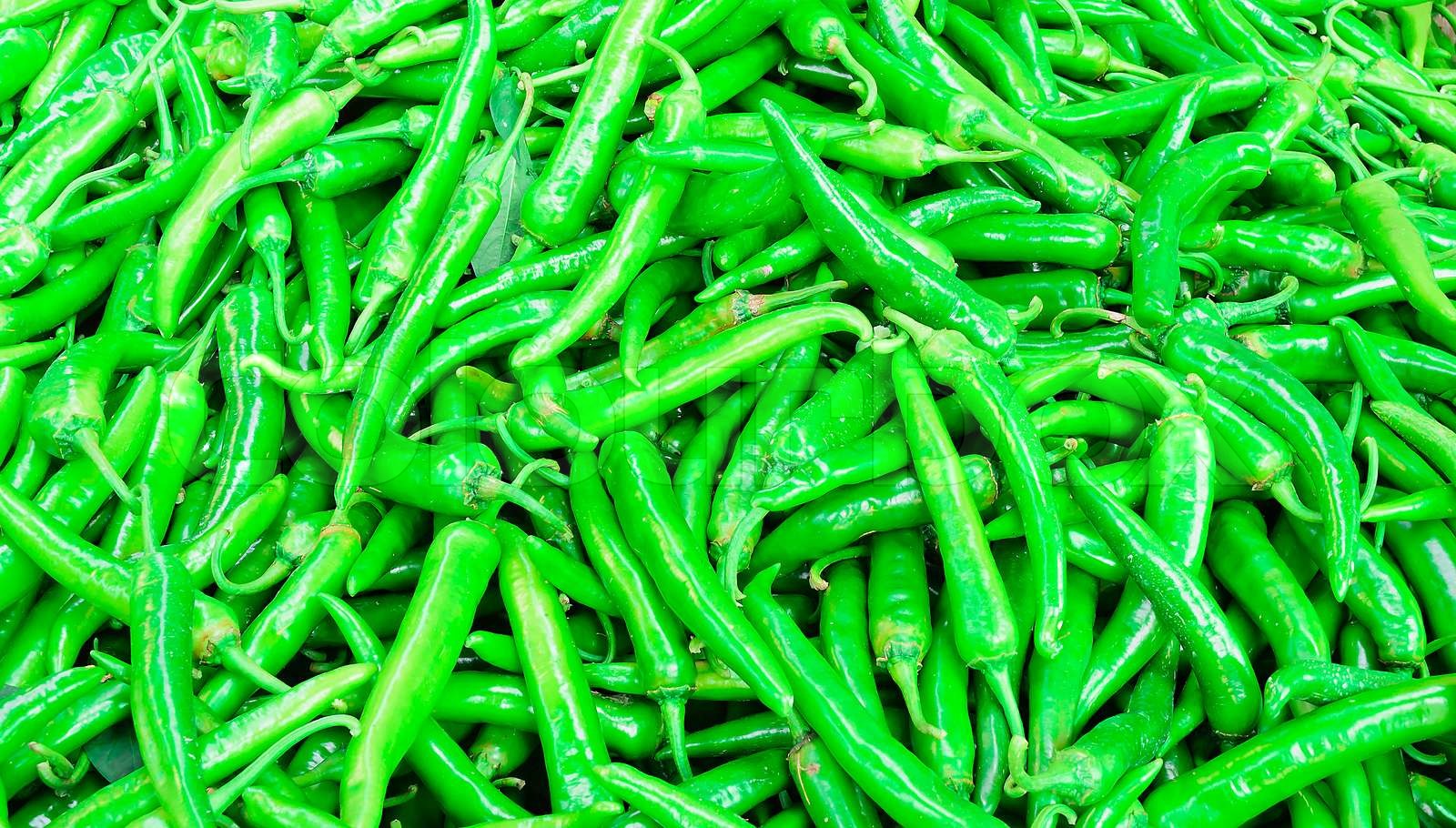 Haufen Thai grüne Chili | Stock Bild | Colourbox