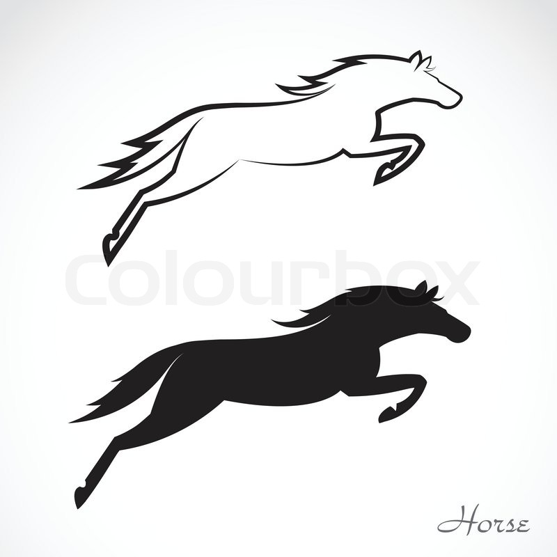 Vektor-Bild von einem Pferd | Stock-Vektor | Colourbox
