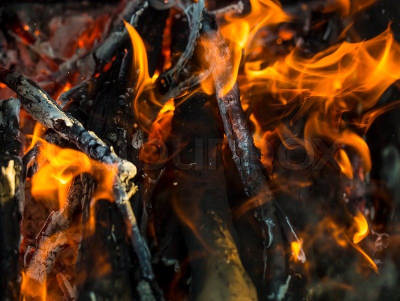 Close up of blazing fire. Whole ... | Stock image | Colourbox