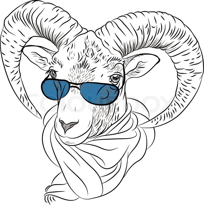 Alpine Ibex Drawing
