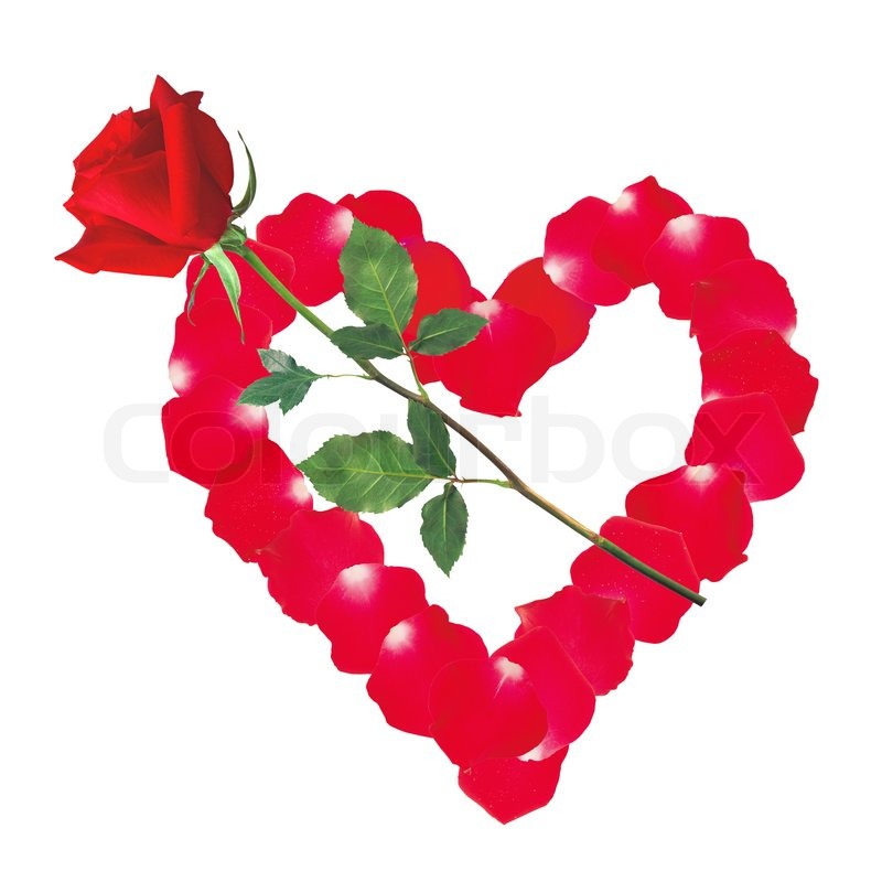 Lovely Heart With Rose
