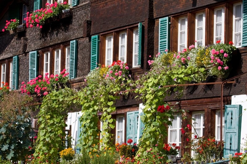 Swiss House Flowers