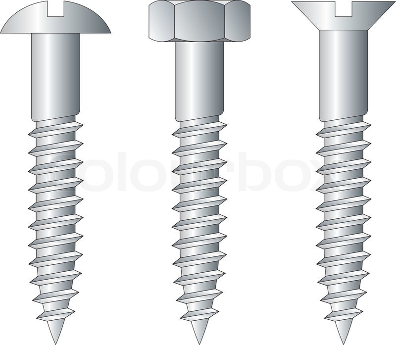 Vector illustration of screws | Stock vector | Colourbox