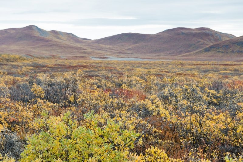 Greenlandic landscape with mountains ... | Stock image | Colourbox