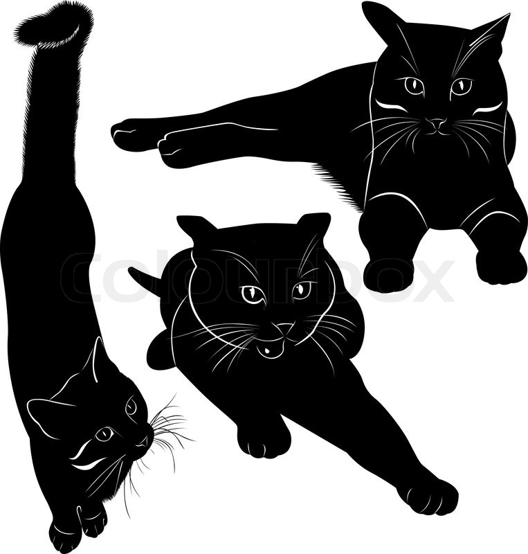 Katze | Stock-Vektor | Colourbox
