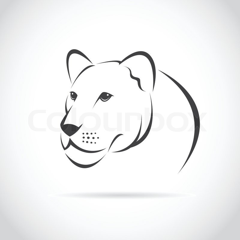 Lioness Head Vector