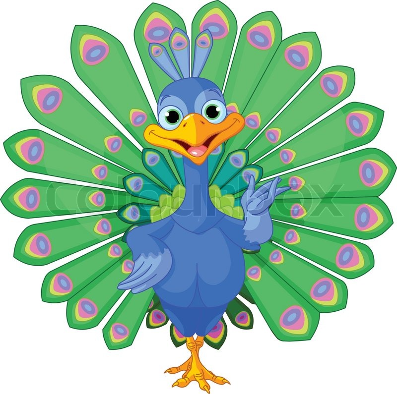 Cartoon-Pfau | Stock-Vektor | Colourbox
