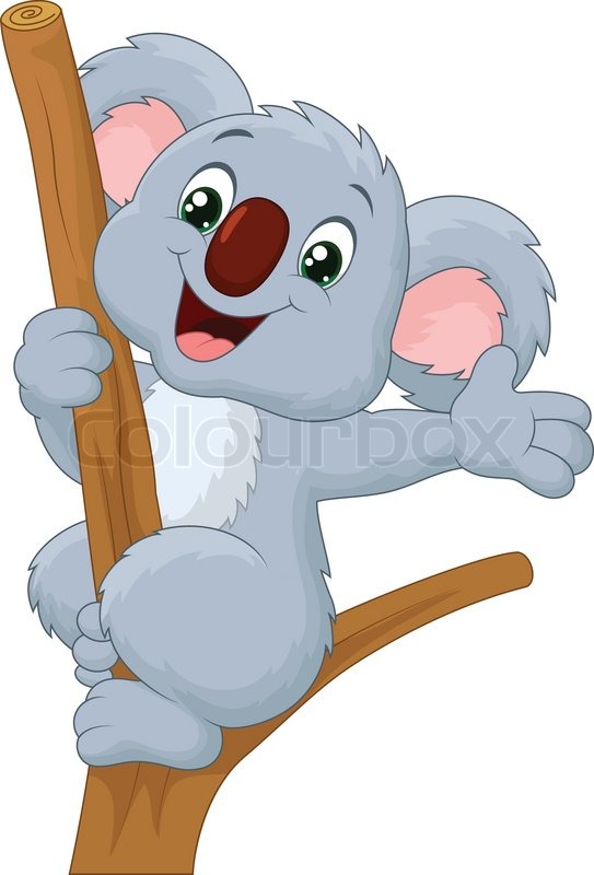 Vector illustration of Cute koala ... | Stock vector | Colourbox