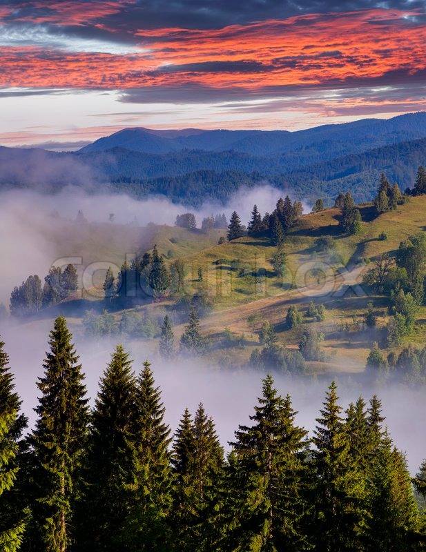 Foggy summer morning in the mountains. ... | Stock image | Colourbox