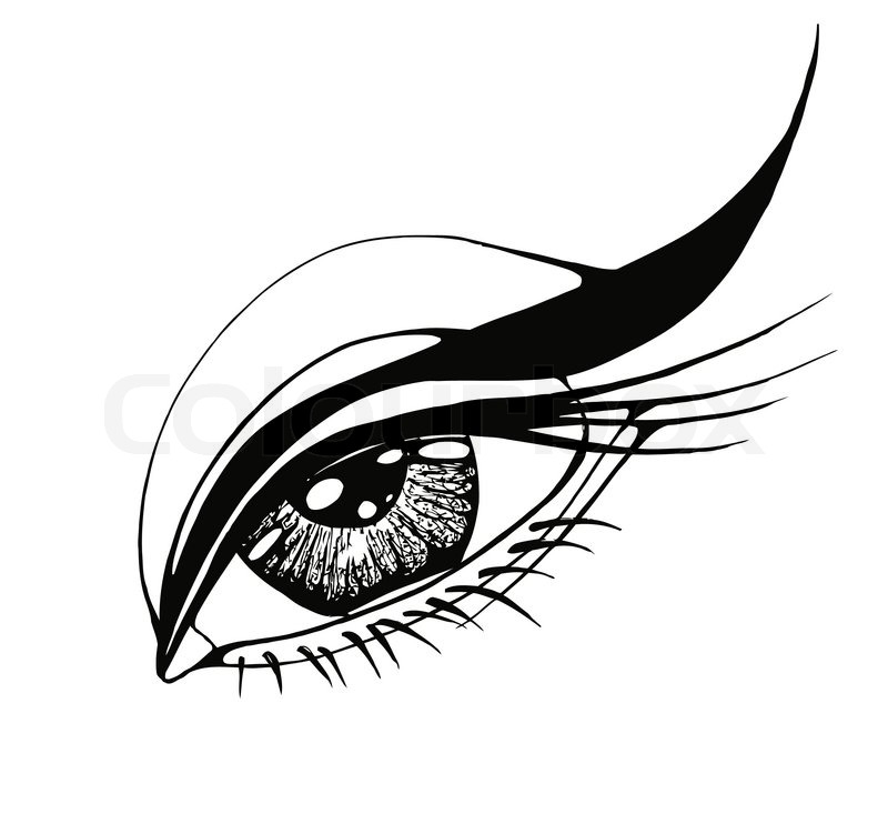 Beautiful woman eye. Vector ... | Stock vector | Colourbox