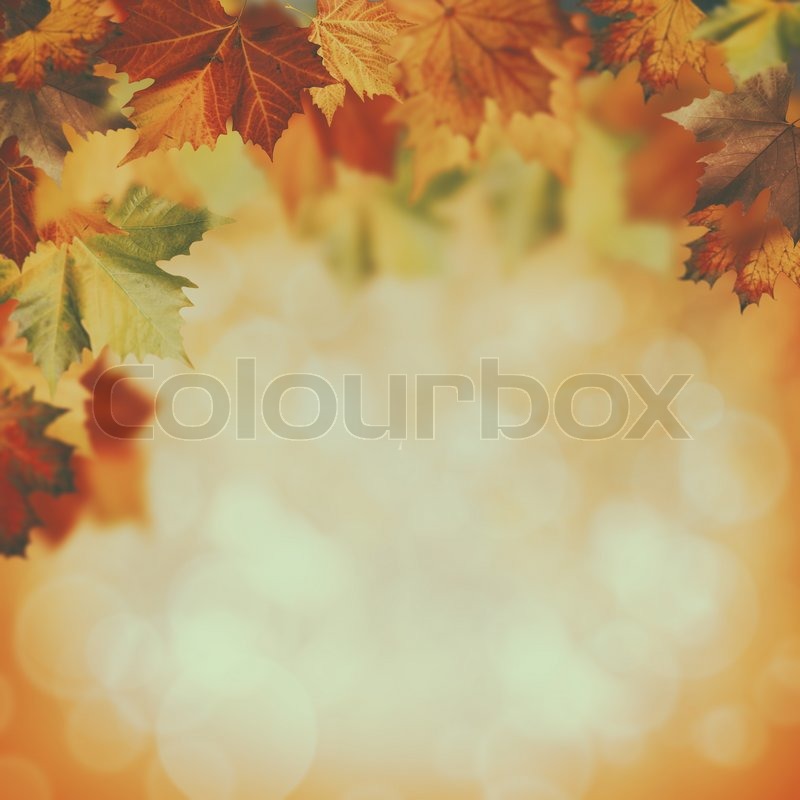 Beauty autumnal backgrounds with faded ... | Stock image | Colourbox