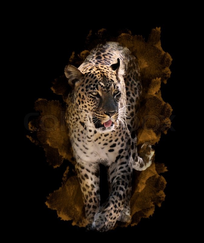 Watercolor Digital Painting Of Leopard ... | Stock image | Colourbox