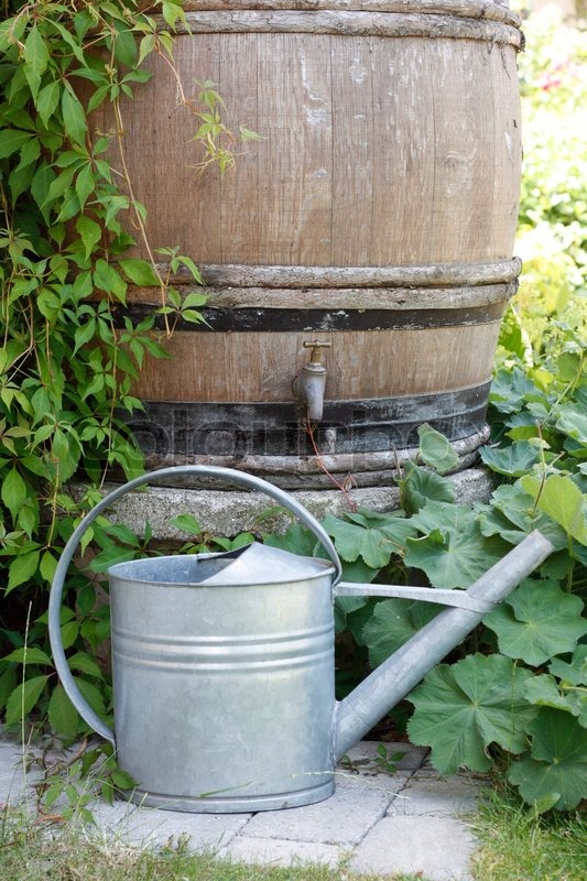 Rustic water jug in the garden | Stock image | Colourbox