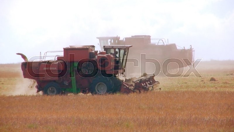 Two combine harvest head on against a ... | Stock Video | Colourbox
