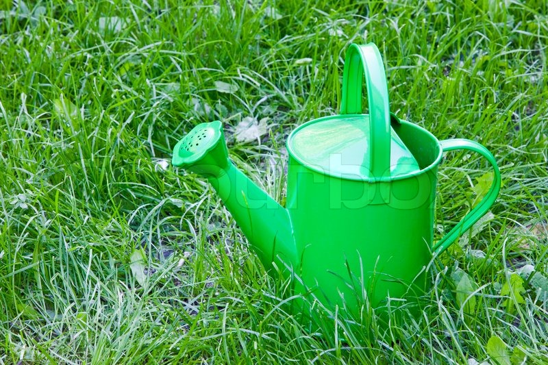 A green watering jug in the garden | Stock image | Colourbox