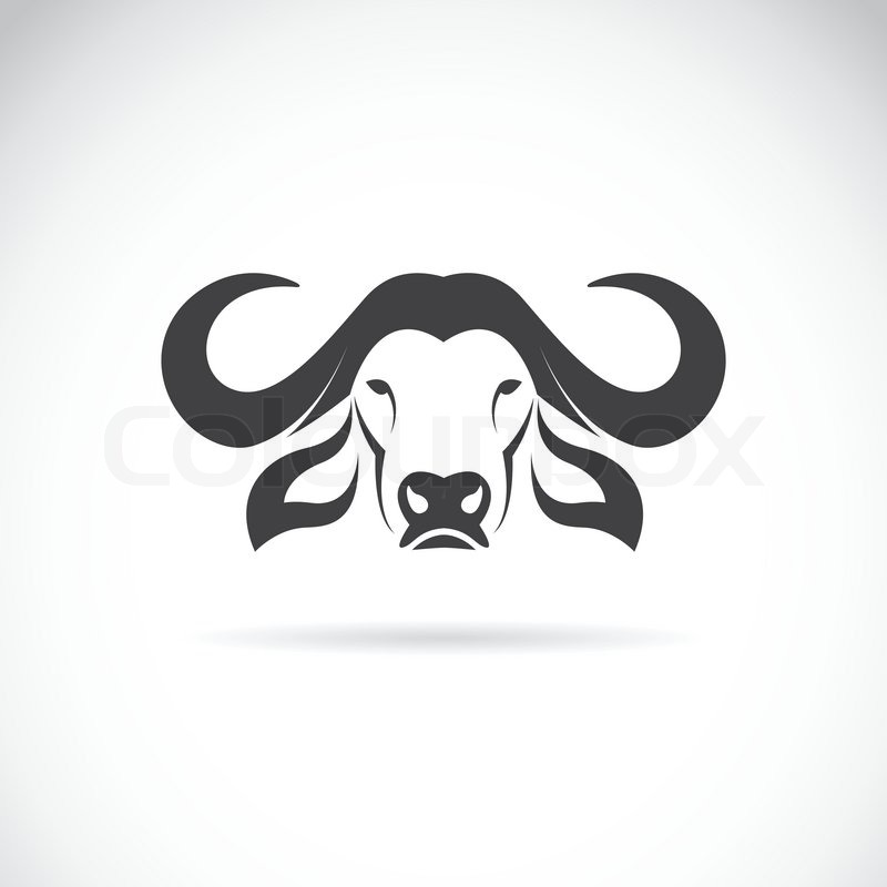 Vector image of an buffalo head on ... | Stock vector | Colourbox