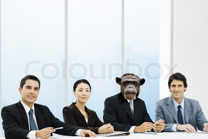 Corporate communication | Stock image | Colourbox