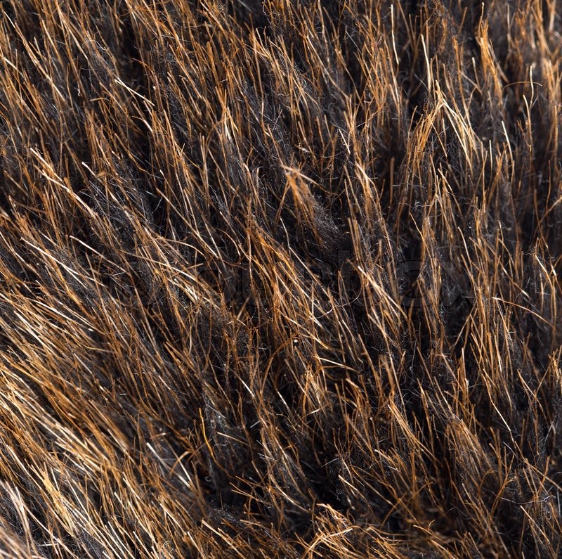 Background of fur | Stock image | Colourbox